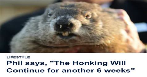 The Honking