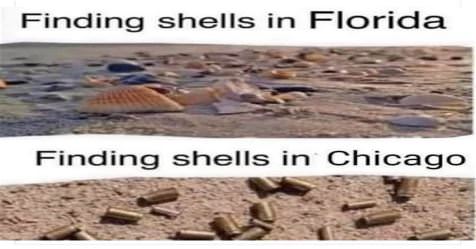 Shells