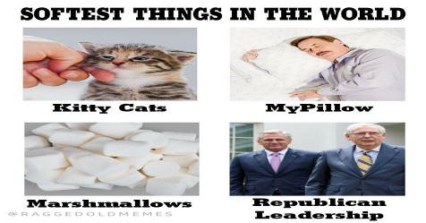 The Softest Things