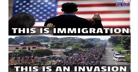 Immigration Vs Invasion