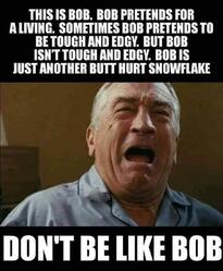 Not Like Bob