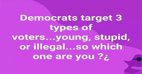 Democrats Target 3 Types Of Voters