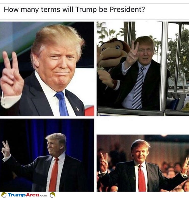 How Many Terms