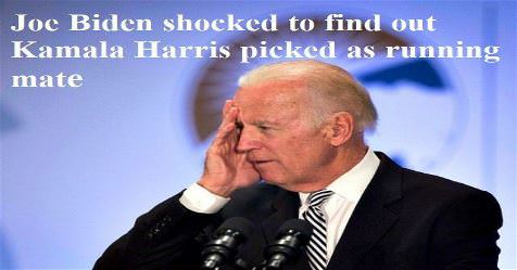Joe Shocked