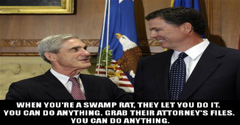 Swamp Rats