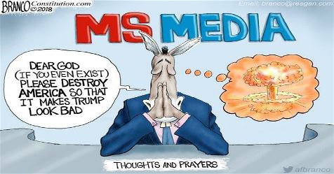 the MS media