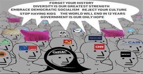 the democrat NPC army