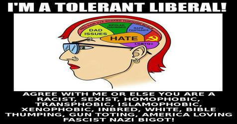 The Mind Of A Liberal