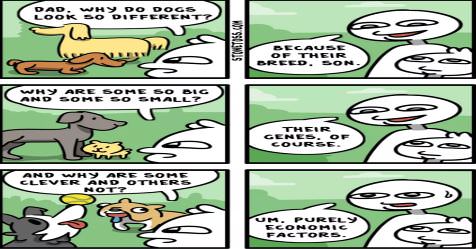 Why Are They Different